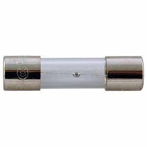 Fuse m205 australux 5x20mm slow 250 FUSDA205-250MA | Buy Online ...