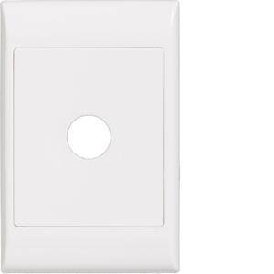 Plate large plate switch no mech 1g HAGWBSP1 | Buy Online – Adelaide ...